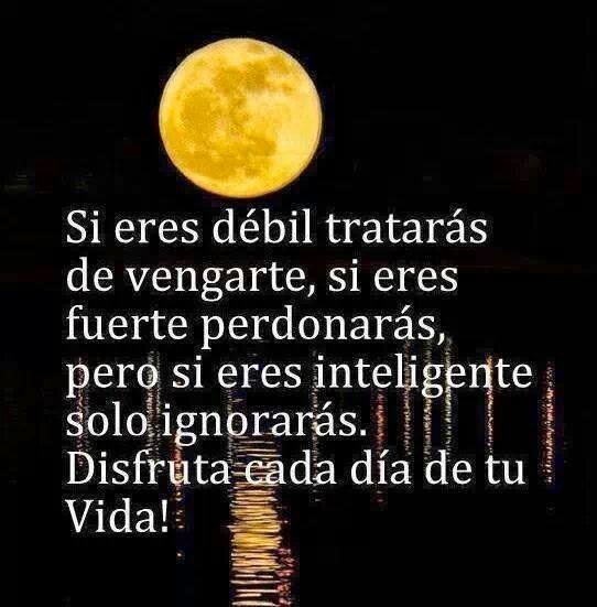 22 Imágenes con frases de reflexión de la vida